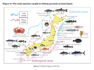 Currents of Japan - Blue Japan