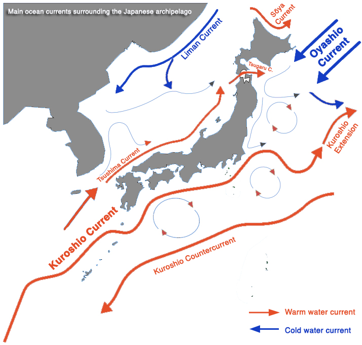 Kuroshio Current Reconstructing The Ancient History Of An Ocean Kuroshio Current Reconstructing The Ancient History Of An Ocean