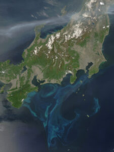 Currents of Japan - Blue Japan