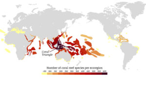 Currents of Japan - Blue Japan
