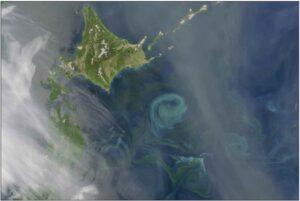 Currents of Japan - Blue Japan