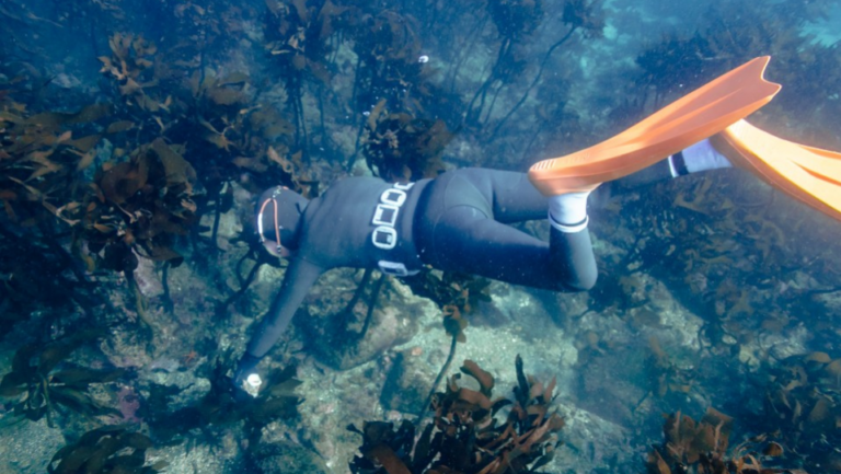 Ama Freedivers - Blue Japan
