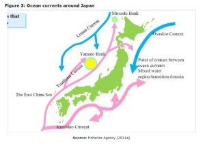 Currents of Japan - Blue Japan