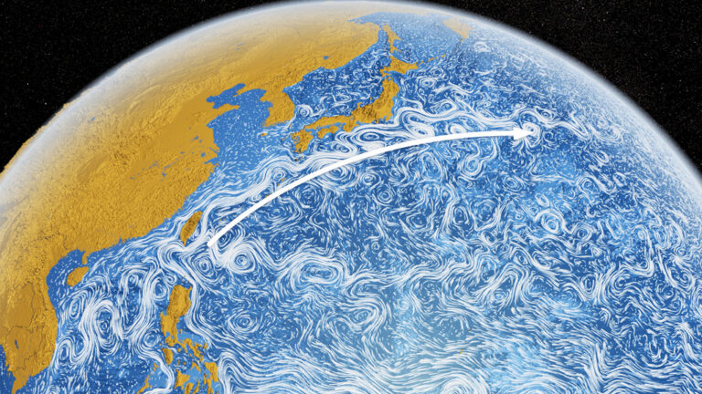 Currents of Japan - Blue Japan